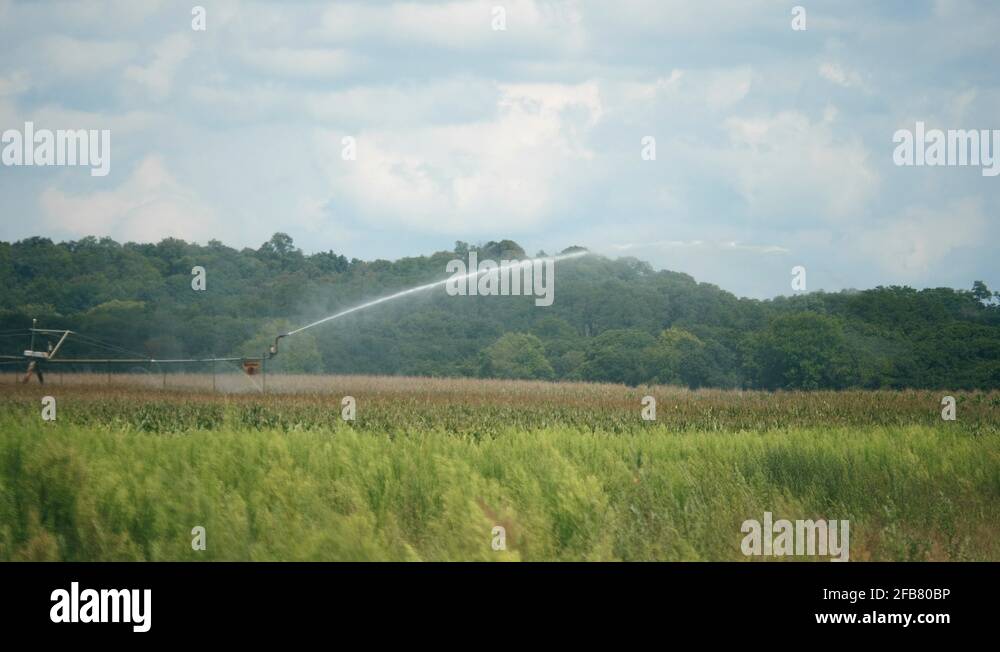 Watering corn Stock Videos & Footage - HD and 4K Video Clips - Alamy