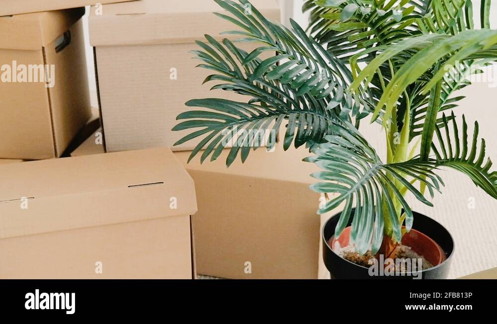 moving home beginning new life unpacked stuff Stock Video Footage - Alamy