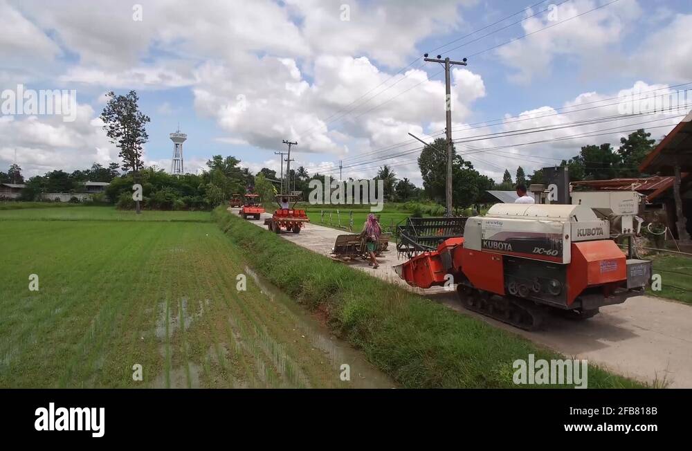 Rice Tractor in Rice Field All Kind of Rice Tractor in Rice Field Stock ...