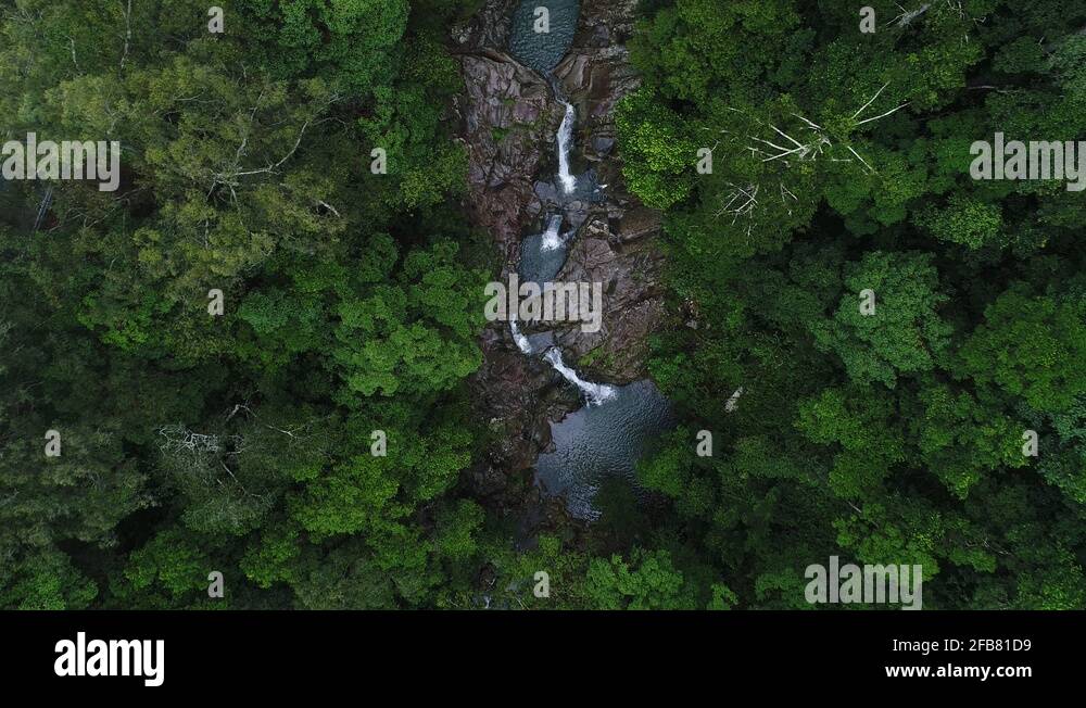Aerial of a few little waterfalls in a rainforest. Top down drone shot ...