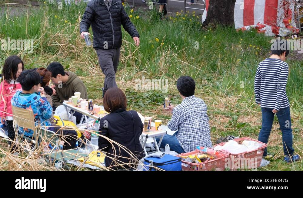 Japanese Having Picnic Or Hanami During Cherry Blossom Season Stock ...