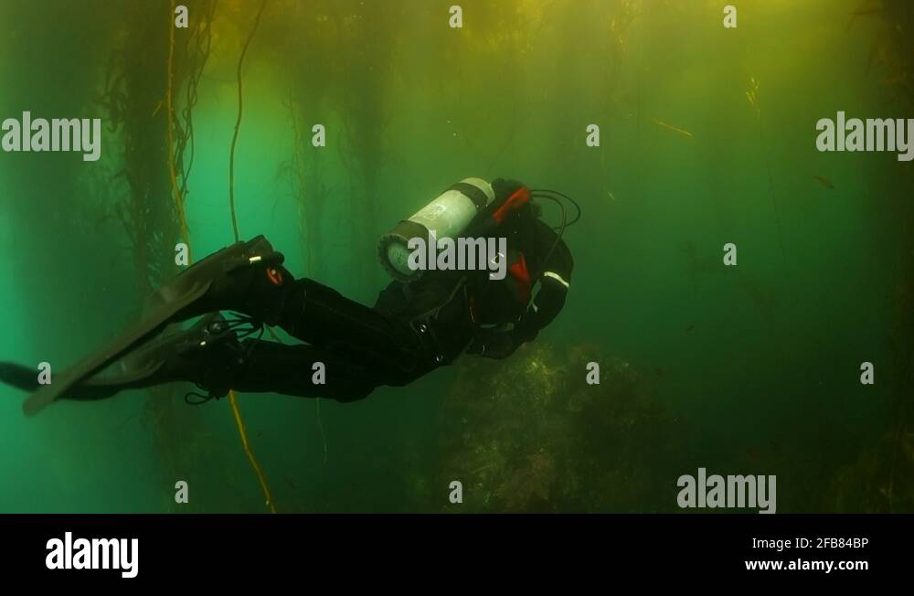 Floating below the surface Stock Videos & Footage - HD and 4K Video ...