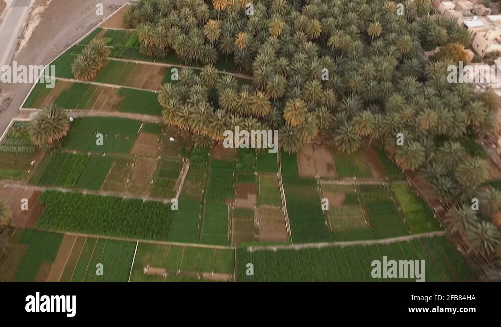Oman village sand Stock Videos & Footage - HD and 4K Video Clips - Alamy