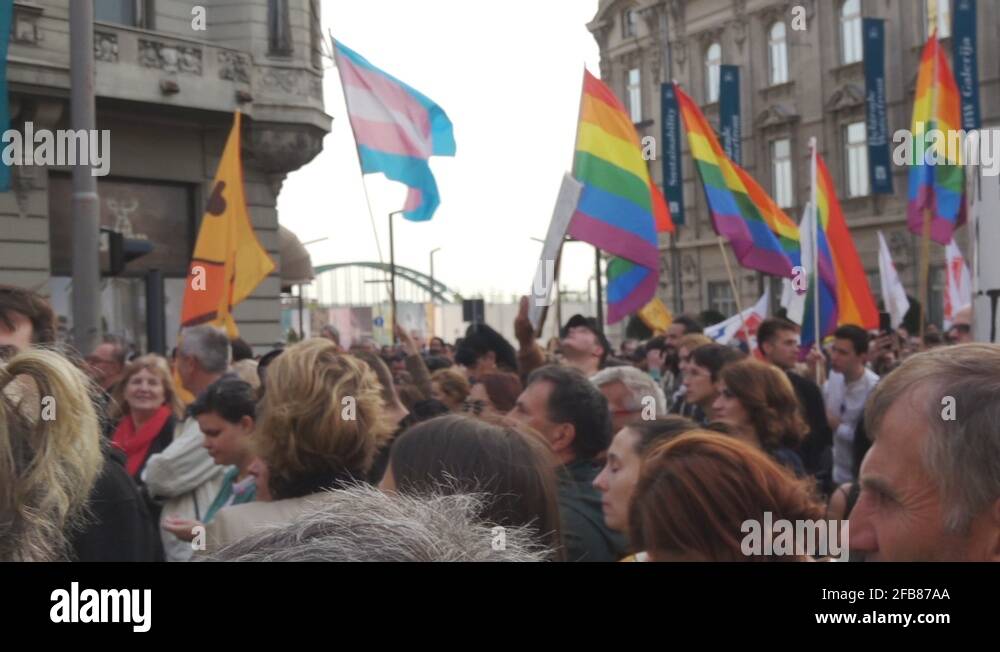 Controversial flag march Stock Videos & Footage - HD and 4K Video Clips ...