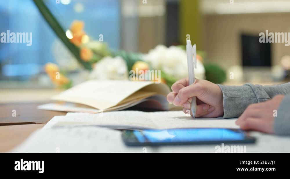 Study at home university Stock Videos & Footage - HD and 4K Video Clips ...