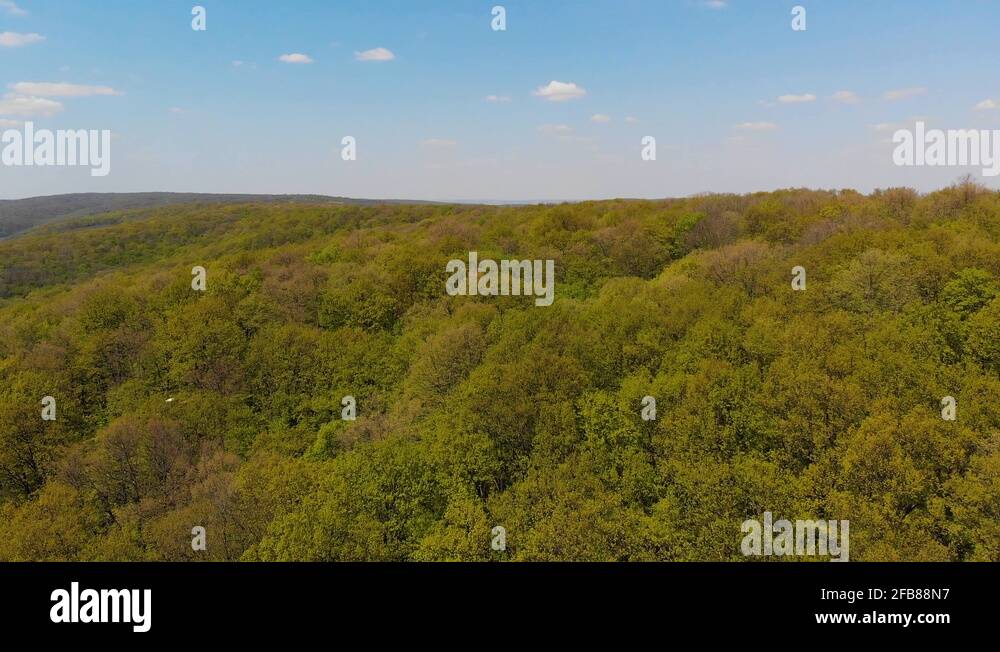 Codrii Stock Videos & Footage - HD and 4K Video Clips - Alamy