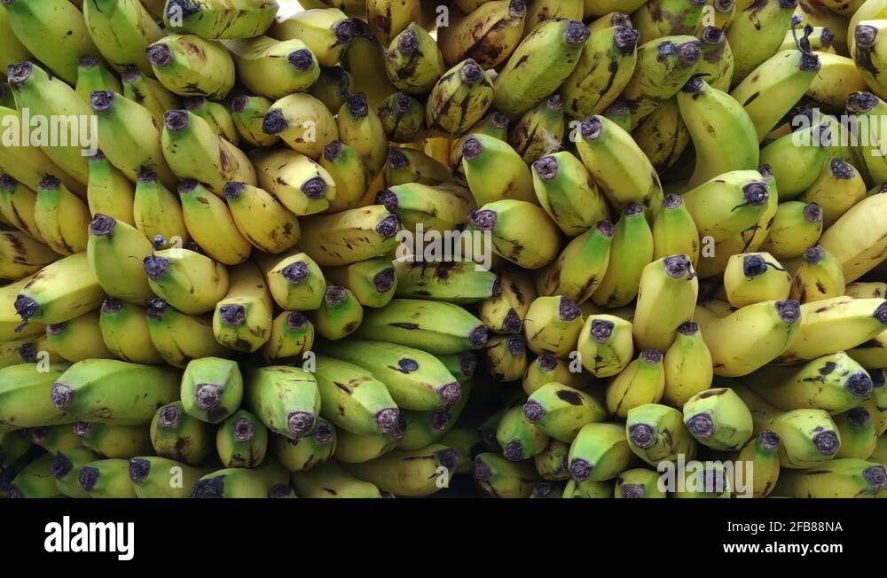 Lots of bananas Stock Videos & Footage - HD and 4K Video Clips - Alamy