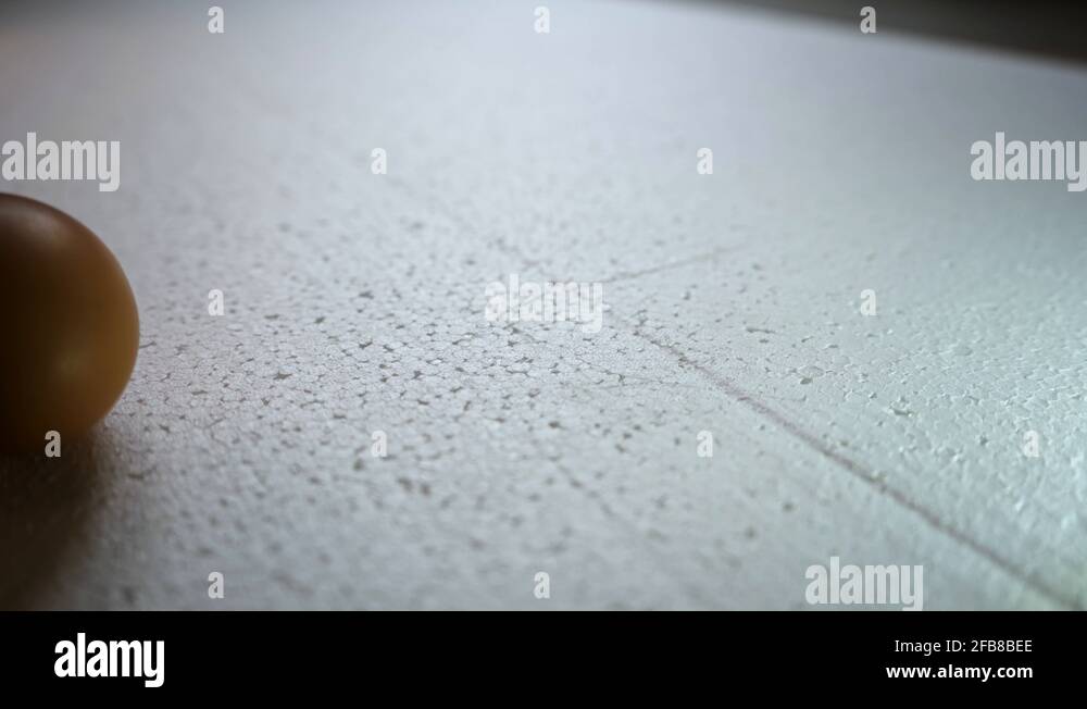 Egg floor Stock Videos & Footage - HD and 4K Video Clips - Alamy