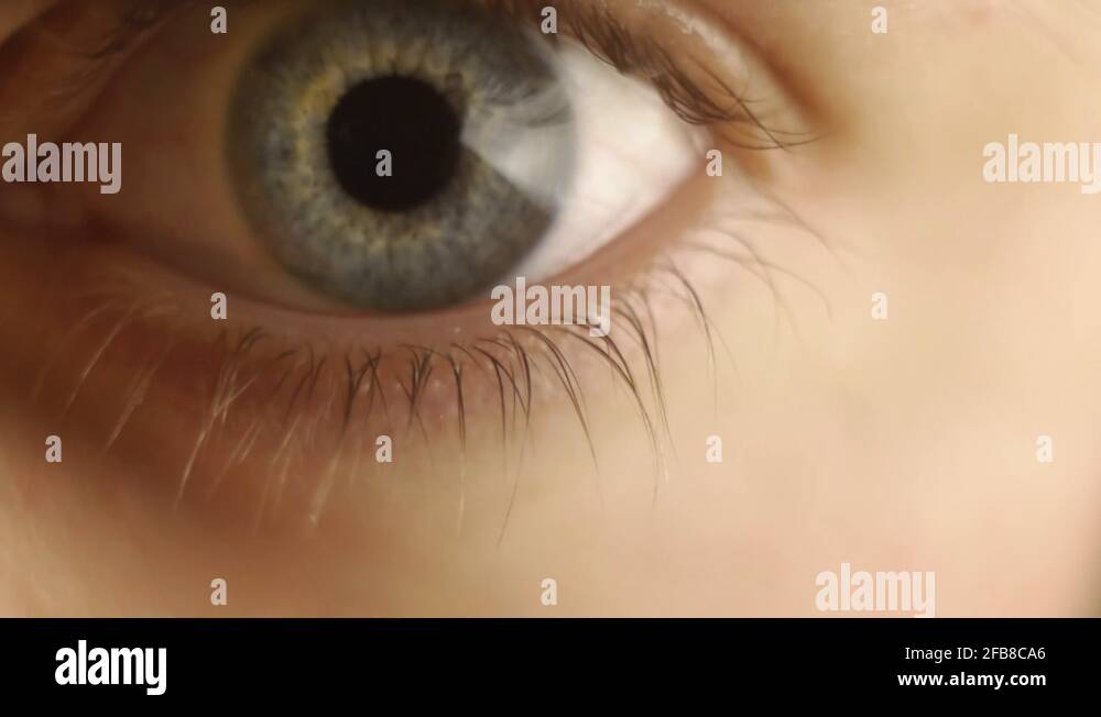Thinking eye Stock Videos & Footage - HD and 4K Video Clips - Alamy