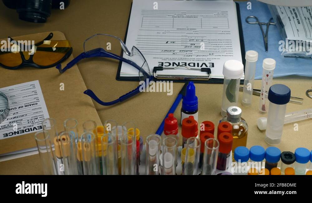 Scientific police examining bullet casings in ballistic laboratory ...