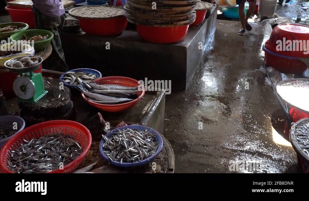 Gutting fish Stock Videos & Footage - HD and 4K Video Clips - Alamy