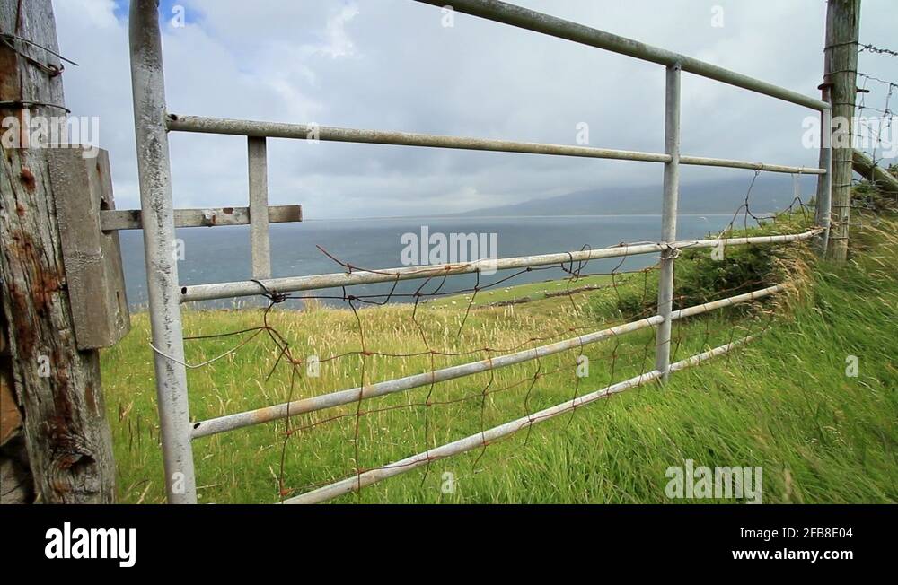Sheep gate Stock Videos & Footage - HD and 4K Video Clips - Alamy