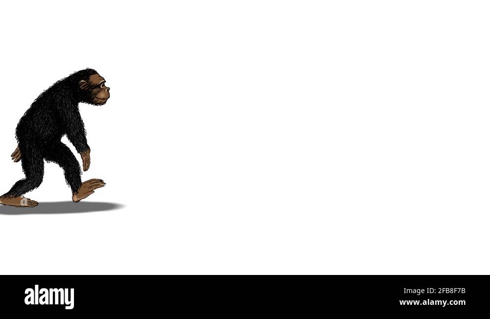 HUMANOID WALK,Humanoid,walks from left to the right Stock Video Footage ...