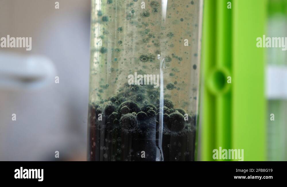 Science brothers Stock Videos & Footage - HD and 4K Video Clips - Alamy