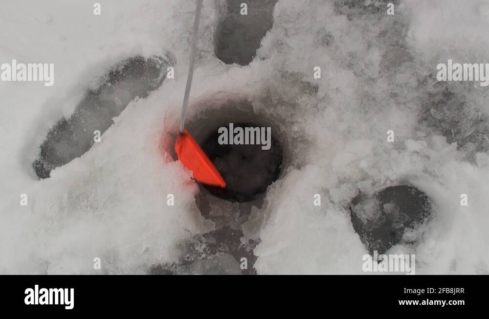 Cleaning ice Stock Videos & Footage - HD and 4K Video Clips - Alamy