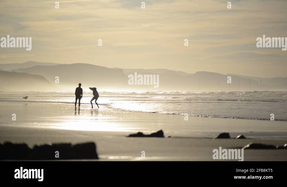 Take walk beach Stock Videos & Footage - HD and 4K Video Clips - Alamy