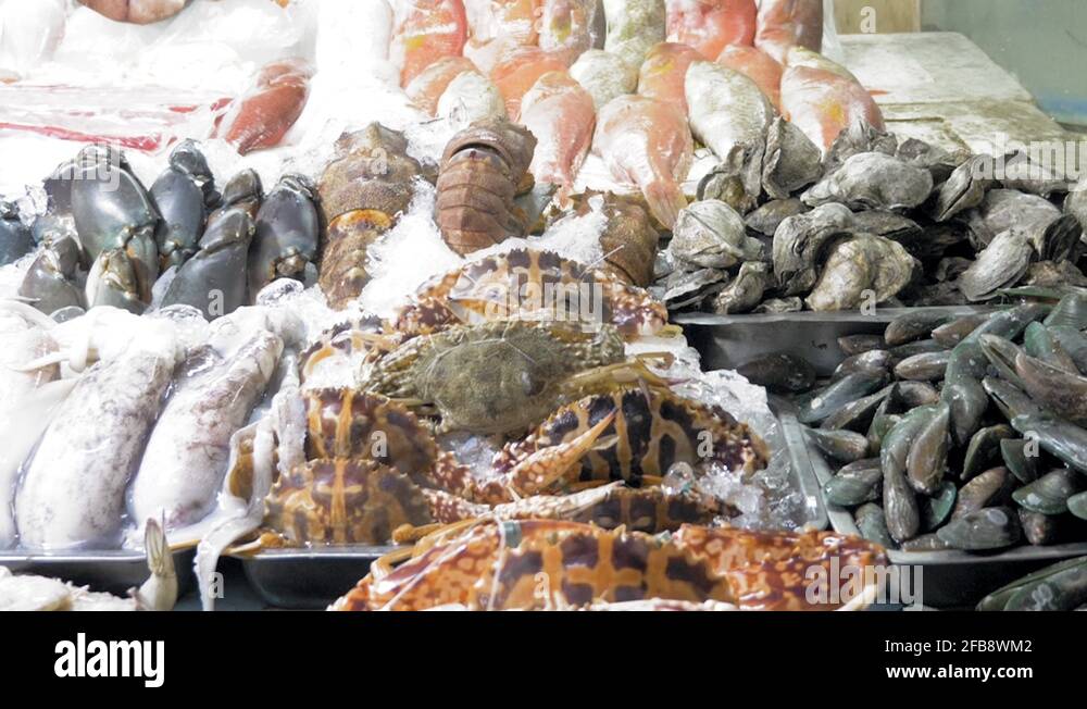 Fish oysters and lobsters Stock Videos & Footage - HD and 4K Video ...