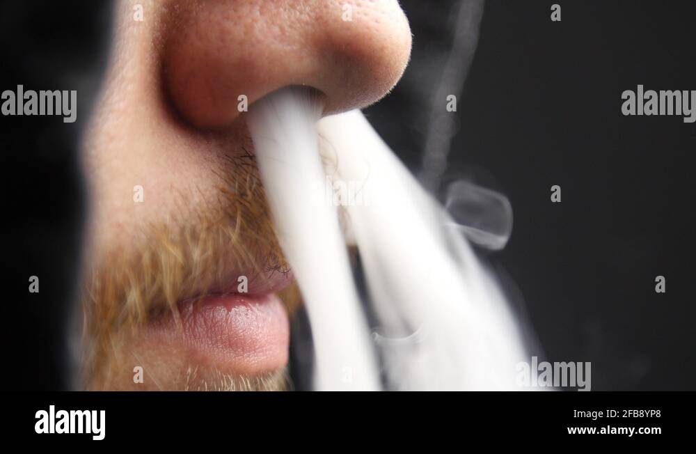 Nose e Stock Videos & Footage - HD and 4K Video Clips - Alamy