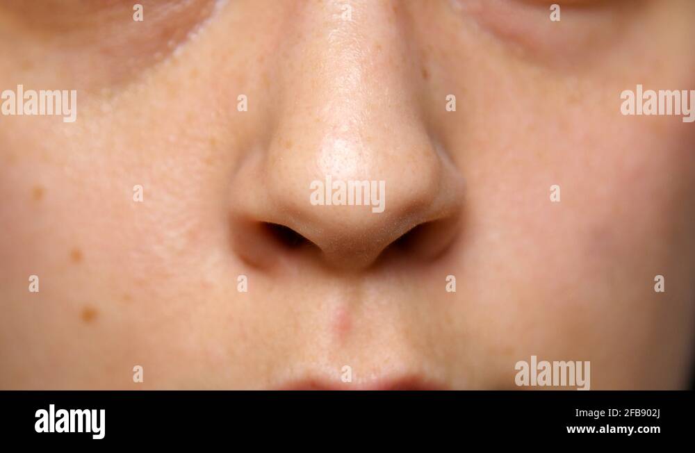 Nostril nostrils Stock Videos & Footage - HD and 4K Video Clips - Alamy