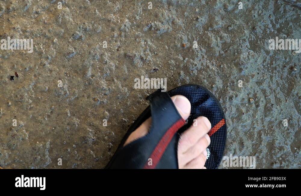 Broken slipper Stock Videos & Footage - HD and 4K Video Clips - Alamy