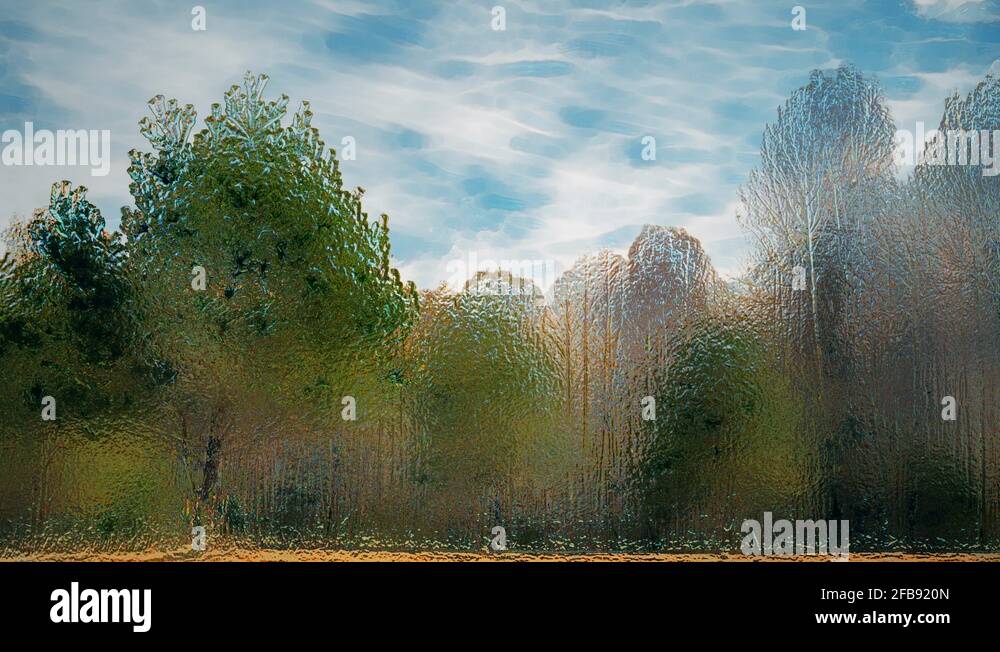 Glass forest Stock Videos & Footage - HD and 4K Video Clips - Alamy