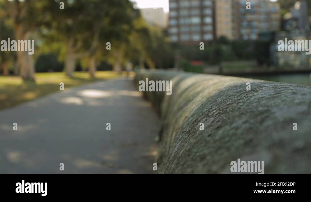 Kids pathway Stock Videos & Footage - HD and 4K Video Clips - Alamy