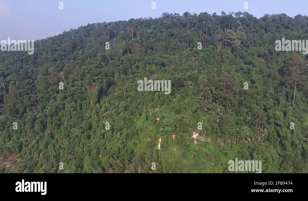 Malaysia Rainforest Aerial Stock Videos Footage Hd And 4k Video