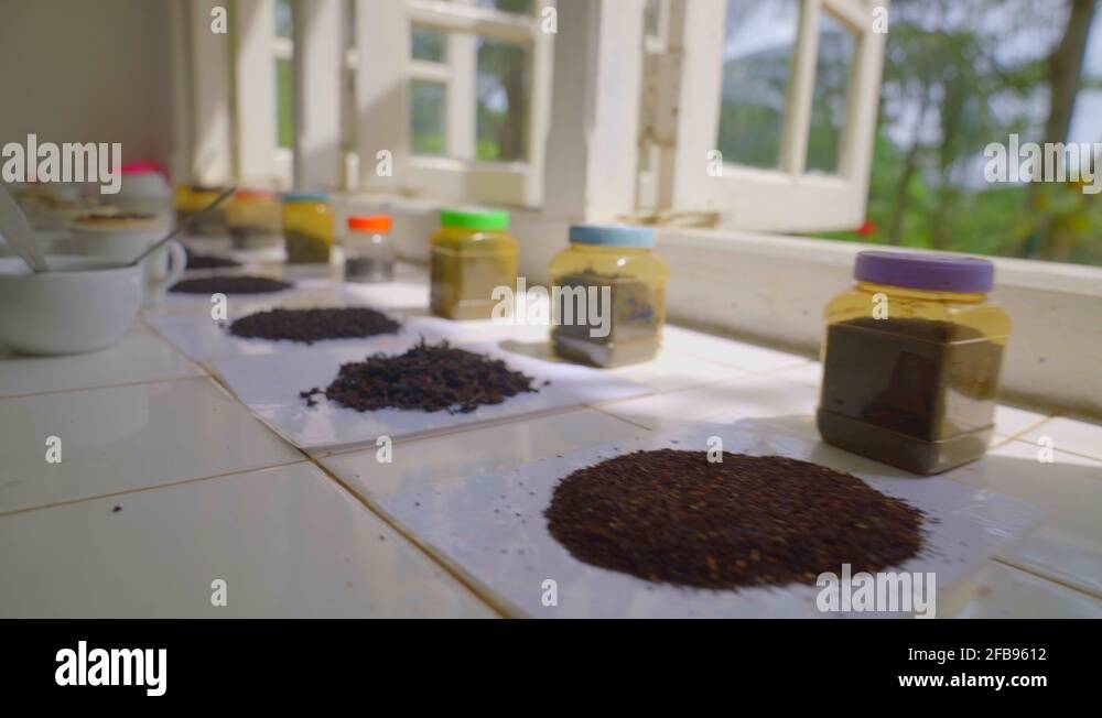 Stages of tea processing Stock Videos & Footage - HD and 4K Video Clips ...