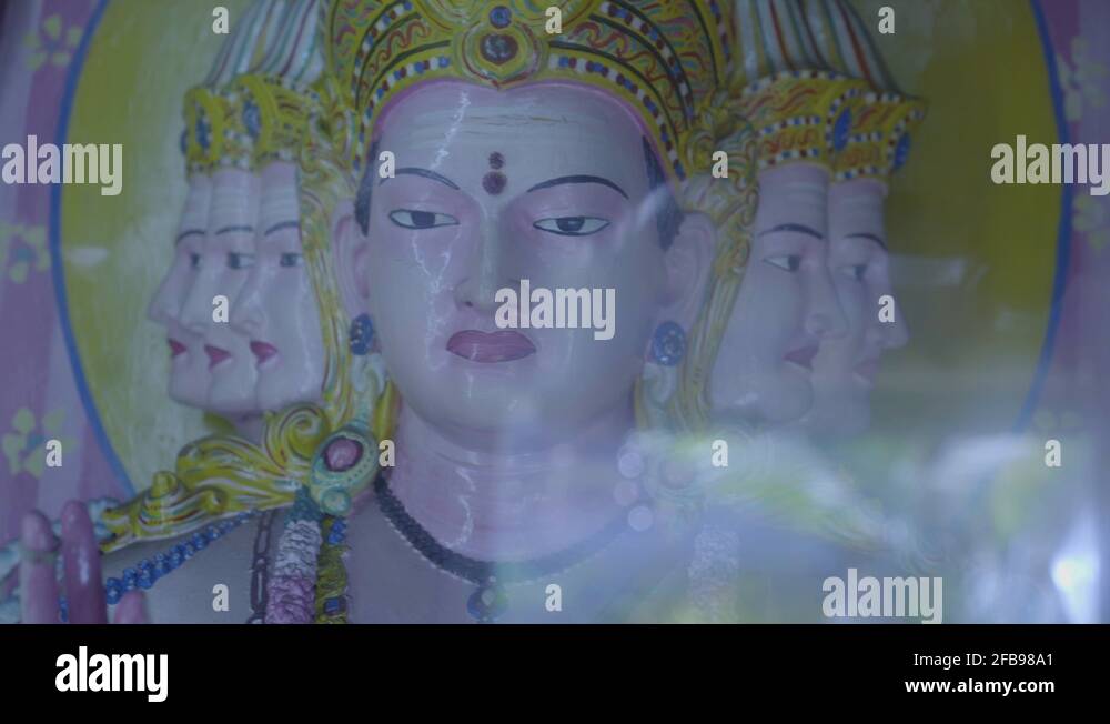 Eight arms Stock Videos & Footage - HD and 4K Video Clips - Alamy