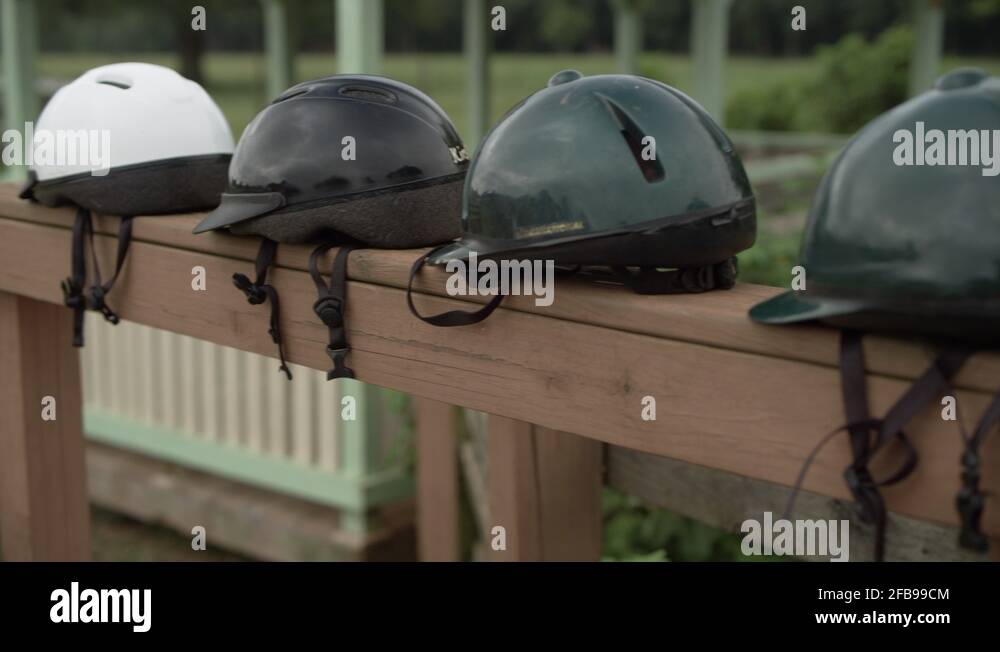 Animal helmets Stock Videos & Footage - HD and 4K Video Clips - Alamy
