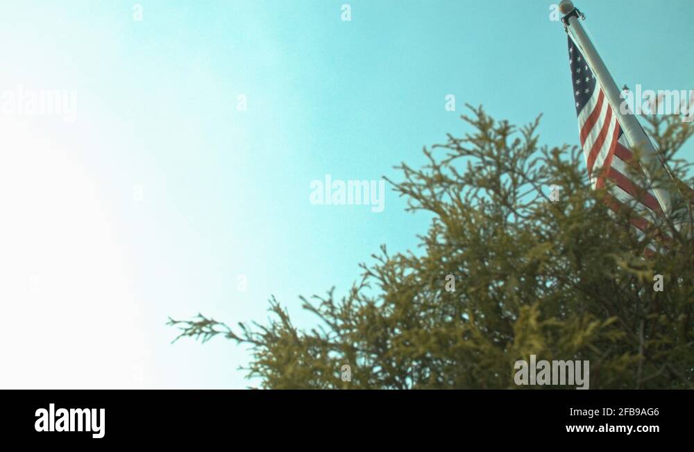 American flag bush Stock Videos & Footage - HD and 4K Video Clips - Alamy