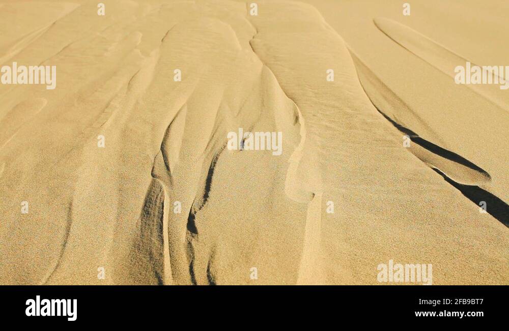 Microscopic grains of sand Stock Videos & Footage - HD and 4K Video ...