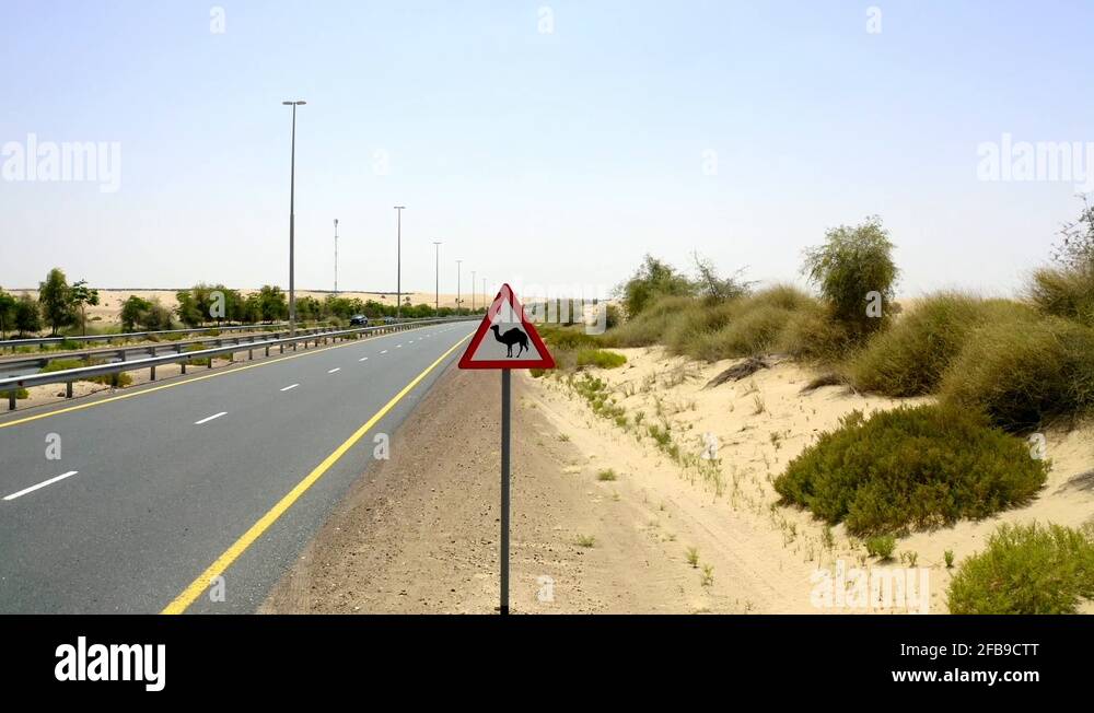 Beware road sign Stock Videos & Footage - HD and 4K Video Clips - Alamy