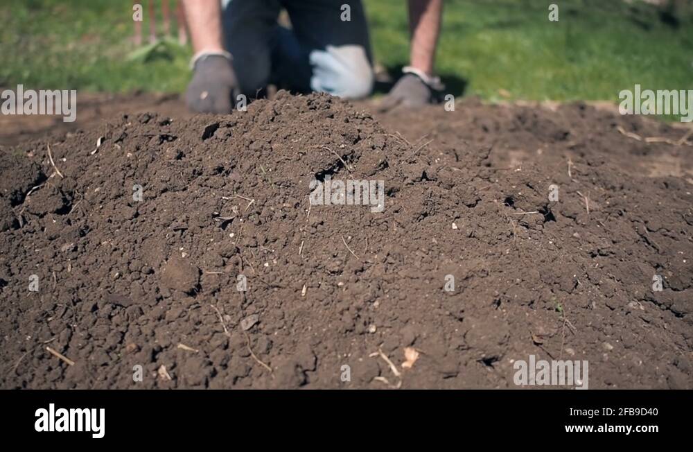 Ring soil Stock Videos & Footage - HD and 4K Video Clips - Alamy