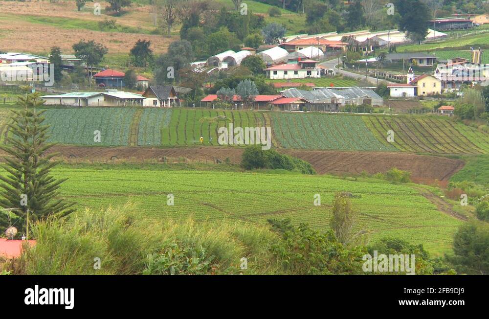Highlands farming Stock Videos & Footage - HD and 4K Video Clips - Alamy