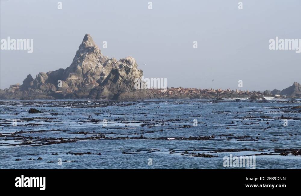 1000s Stock Videos & Footage - HD and 4K Video Clips - Alamy