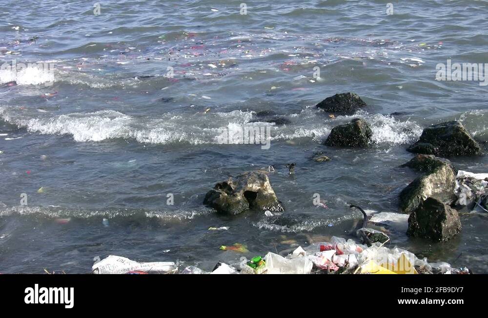 Water Pollution Full HD 1080p Stock Video Footage - Alamy