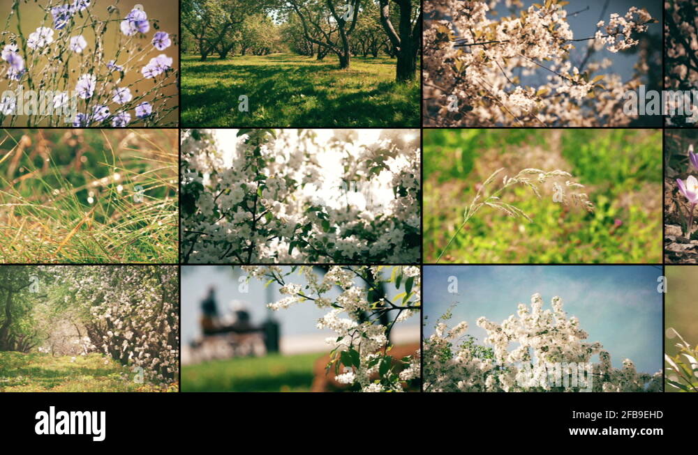 Multi screen projection Stock Videos & Footage - HD and 4K Video Clips ...