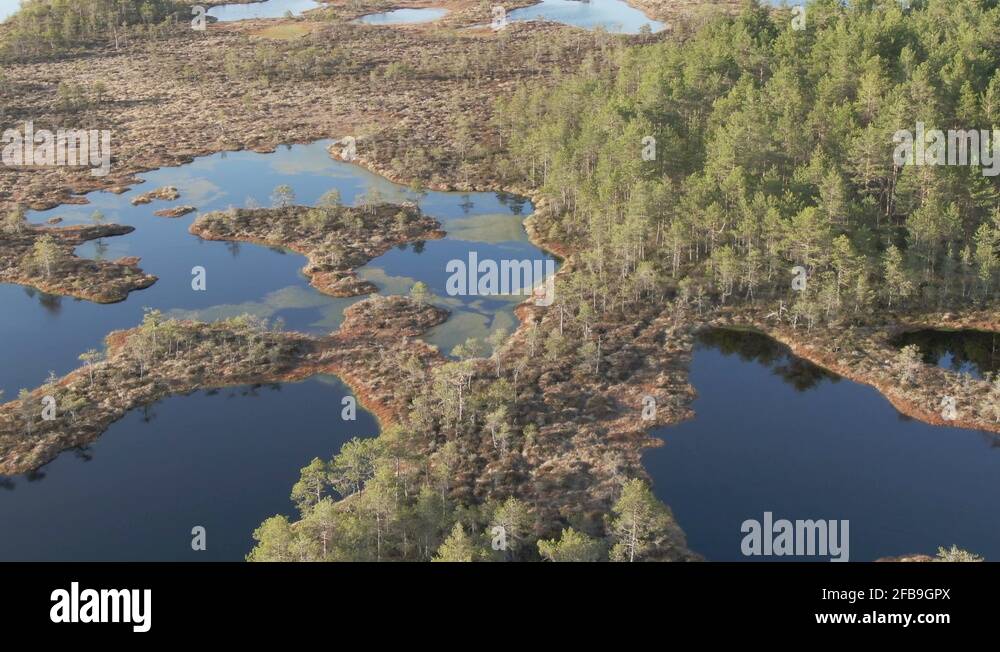 Bog when Stock Videos & Footage - HD and 4K Video Clips - Alamy