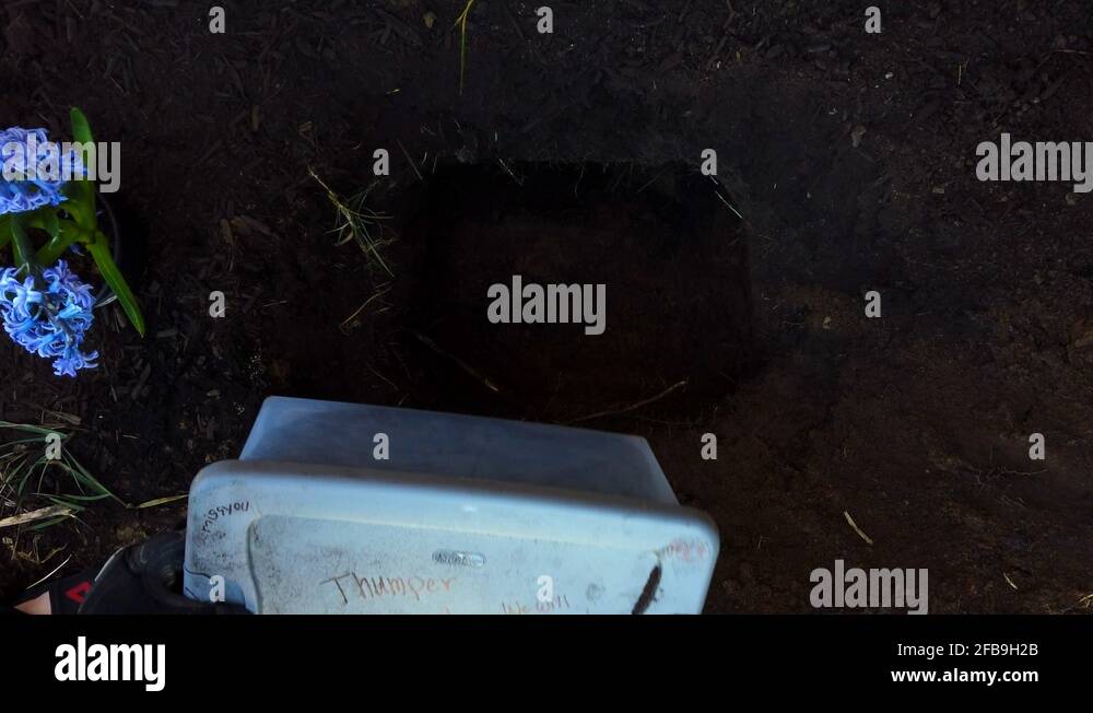 Plastic in cemetery Stock Videos & Footage - HD and 4K Video Clips - Alamy