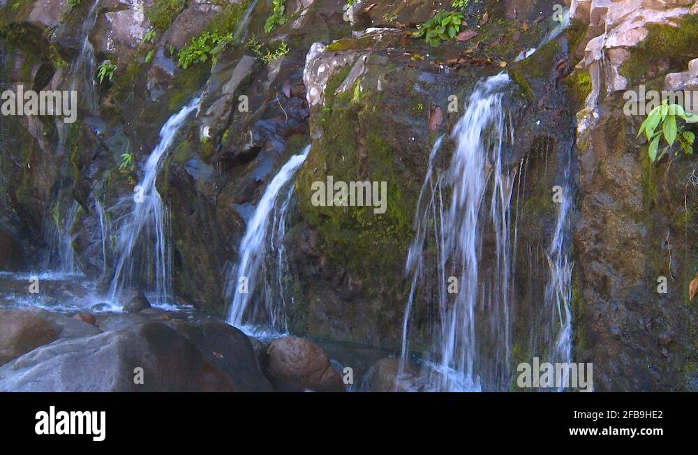 Multiple springs Stock Videos & Footage - HD and 4K Video Clips - Alamy