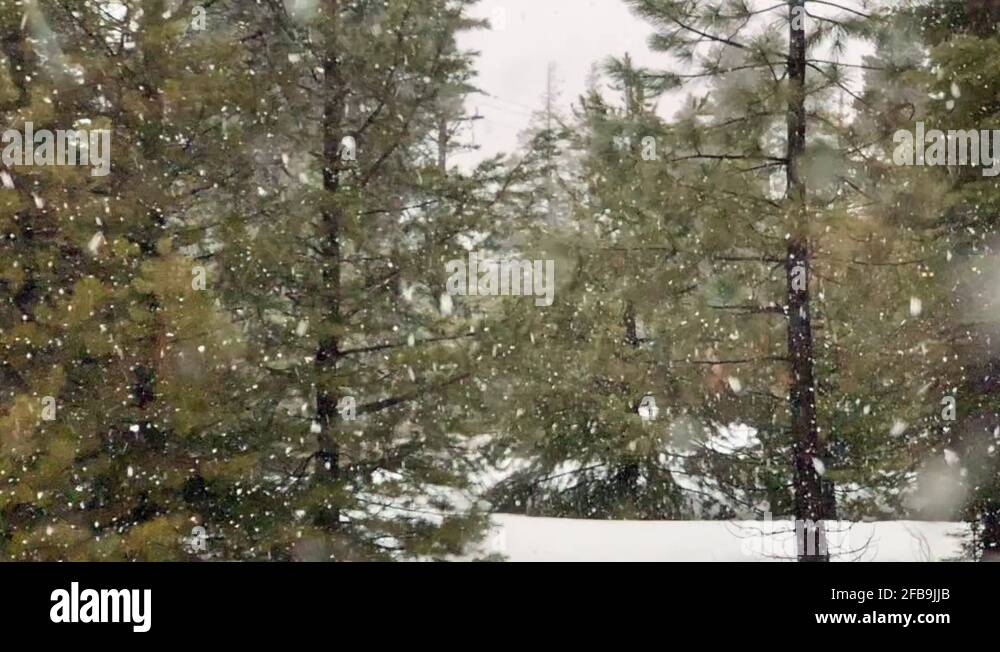 Snow flurry background Stock Videos & Footage - HD and 4K Video Clips ...