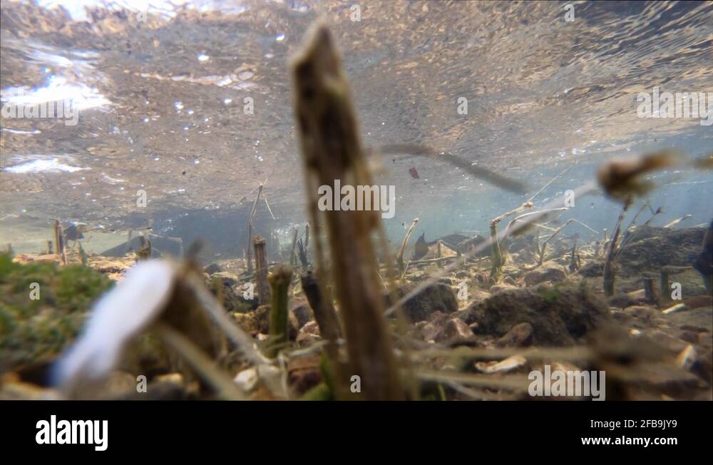 Underwater rock running Stock Videos & Footage - HD and 4K Video Clips ...