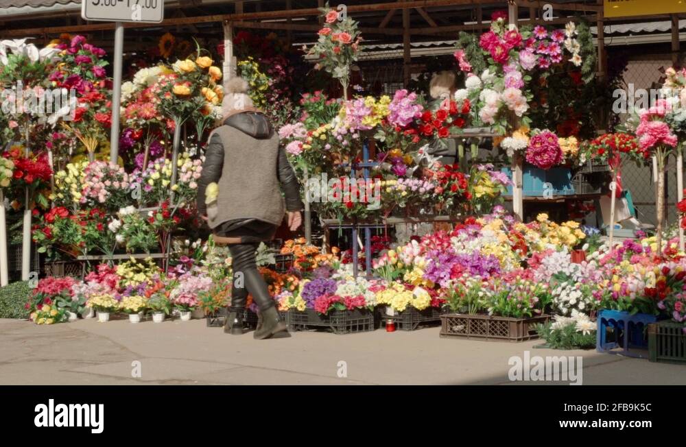 Flower shop plants Stock Videos & Footage - HD and 4K Video Clips - Alamy