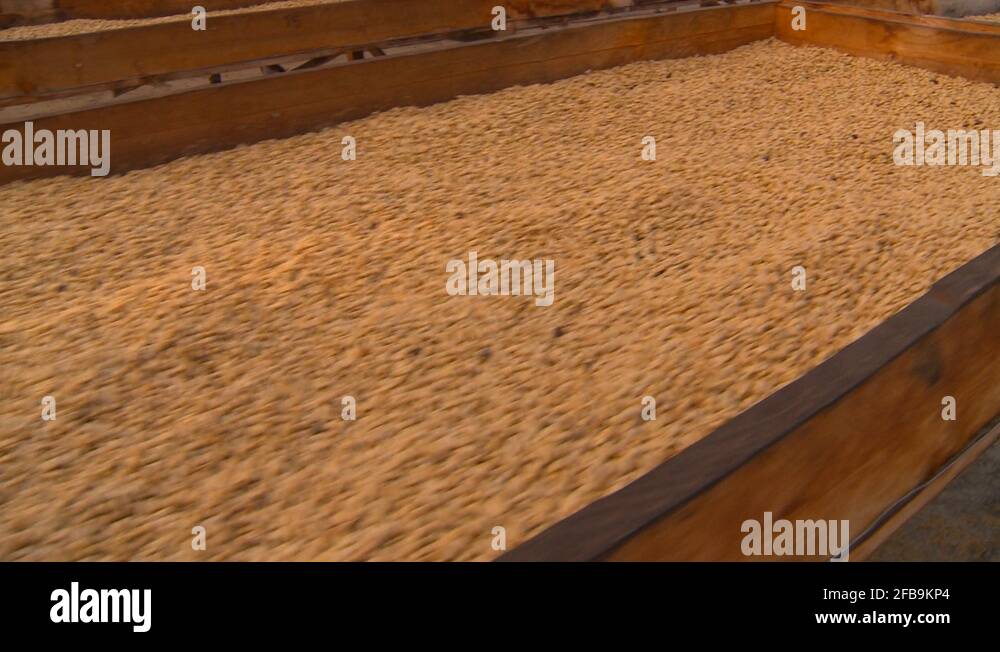 Drying tables Stock Videos & Footage - HD and 4K Video Clips - Alamy