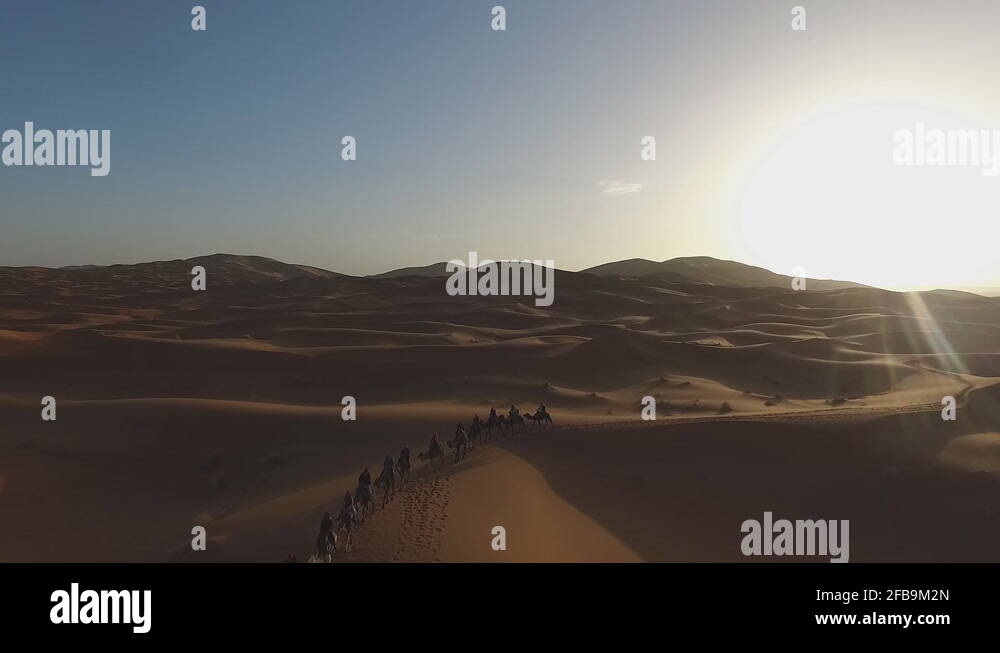 Saudi arabian desert caravan Stock Videos & Footage - HD and 4K Video ...