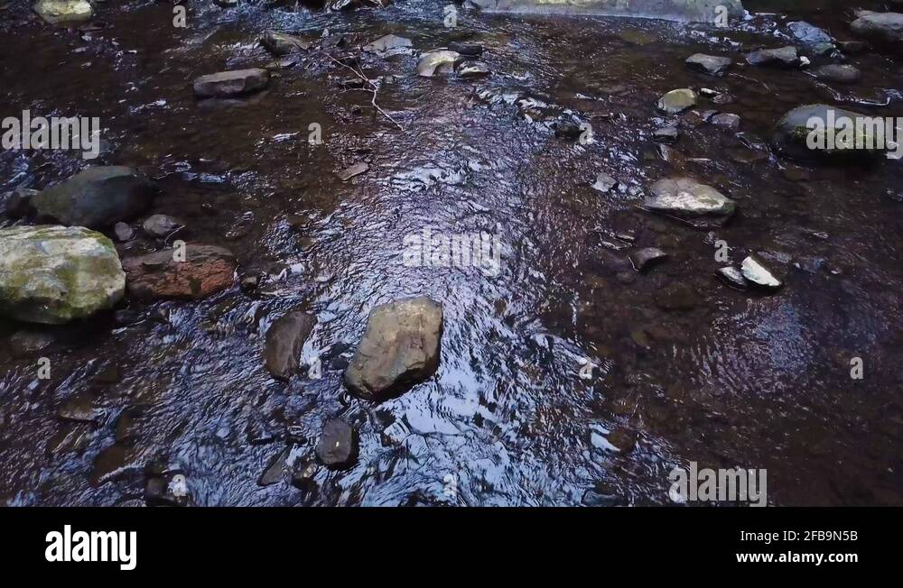 Hawk falls Stock Videos & Footage - HD and 4K Video Clips - Alamy