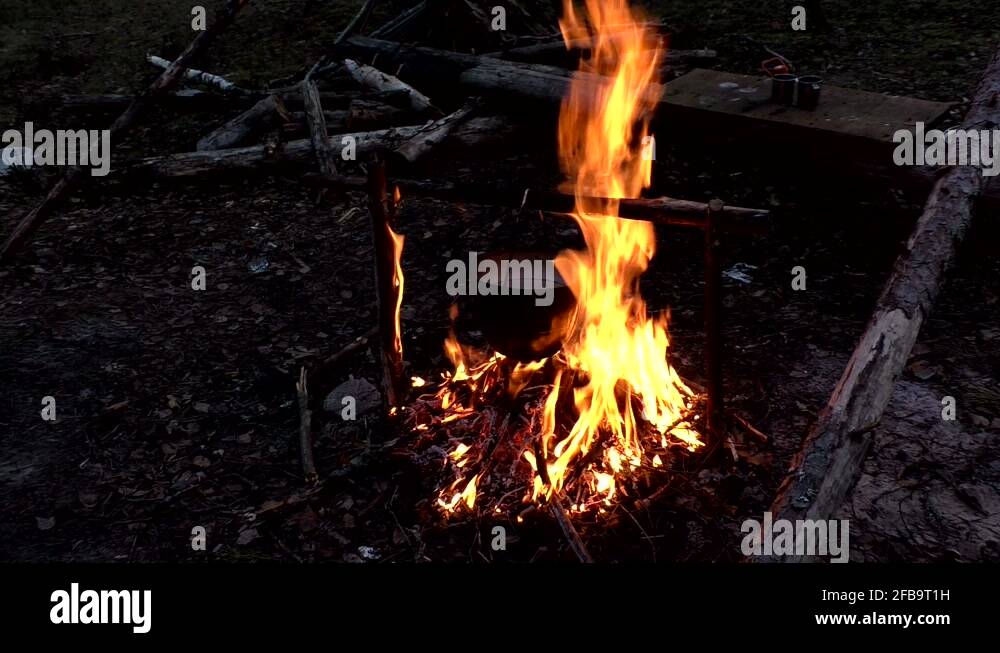 Night campaign Stock Videos & Footage - HD and 4K Video Clips - Alamy