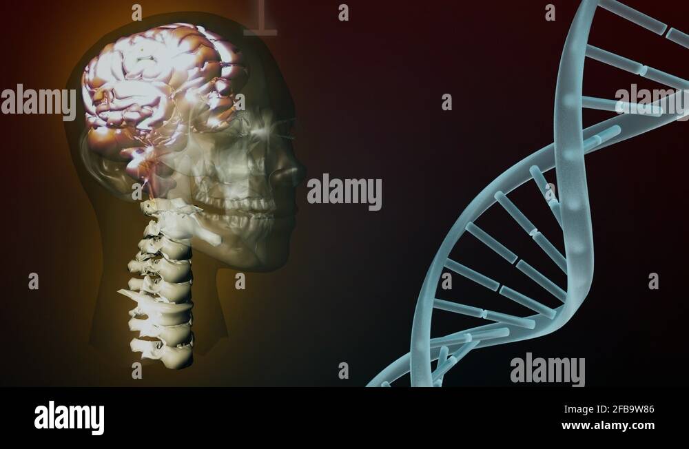Digital human binary Stock Videos & Footage - HD and 4K Video Clips - Alamy