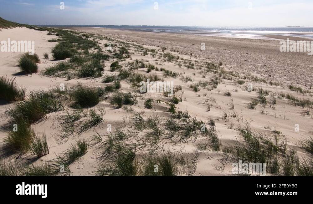 German beach in summer Stock Videos & Footage - HD and 4K Video Clips ...